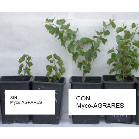 Myco-agrares micorrizas. 30ml