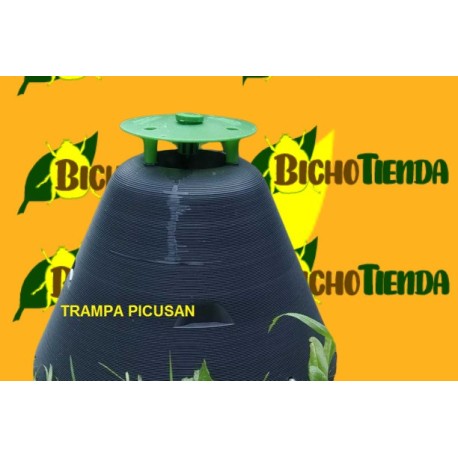 Trampa Picusan (contra picudo rojo)